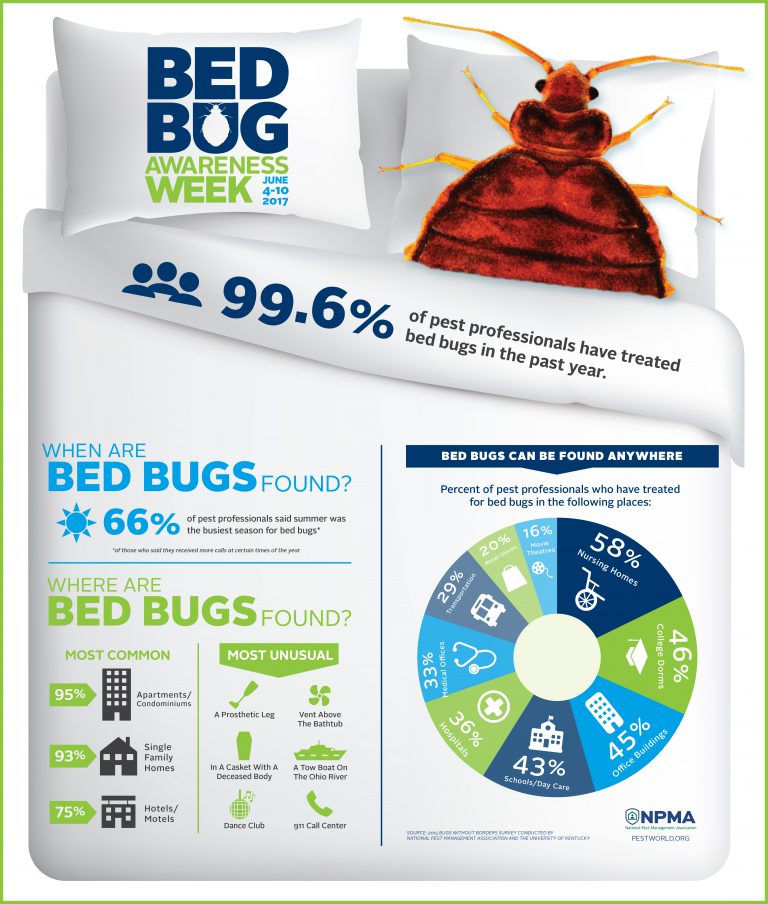 Bed Bug Awareness Week! Tucson Bed bug Control