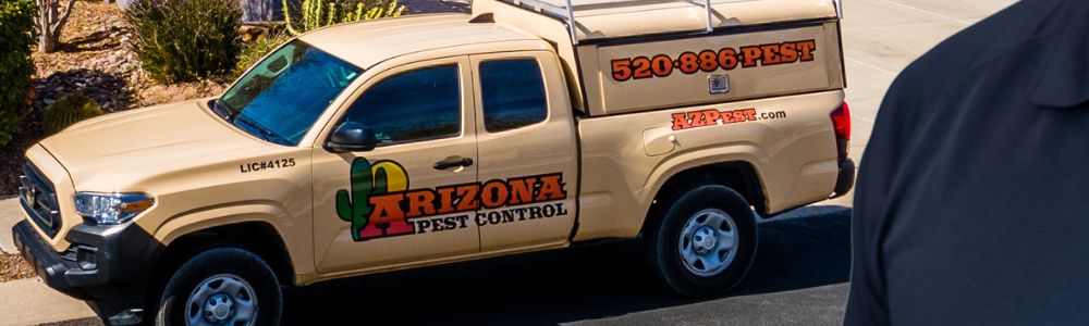 Choosing Your Pest Control Ally in Tucson